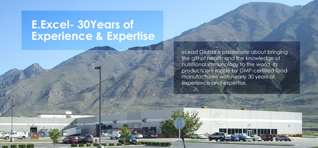 eLead.lifestyle: About eLead Global