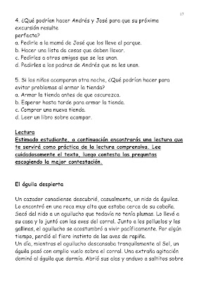 APOYO ESCOLAR ING MASCHWITZT CONTACTO TELEF 011-15-37910372: LECTURA ...