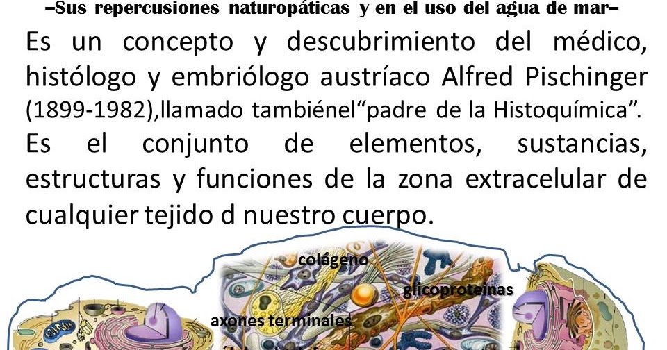 Naturismo y Salud Integral