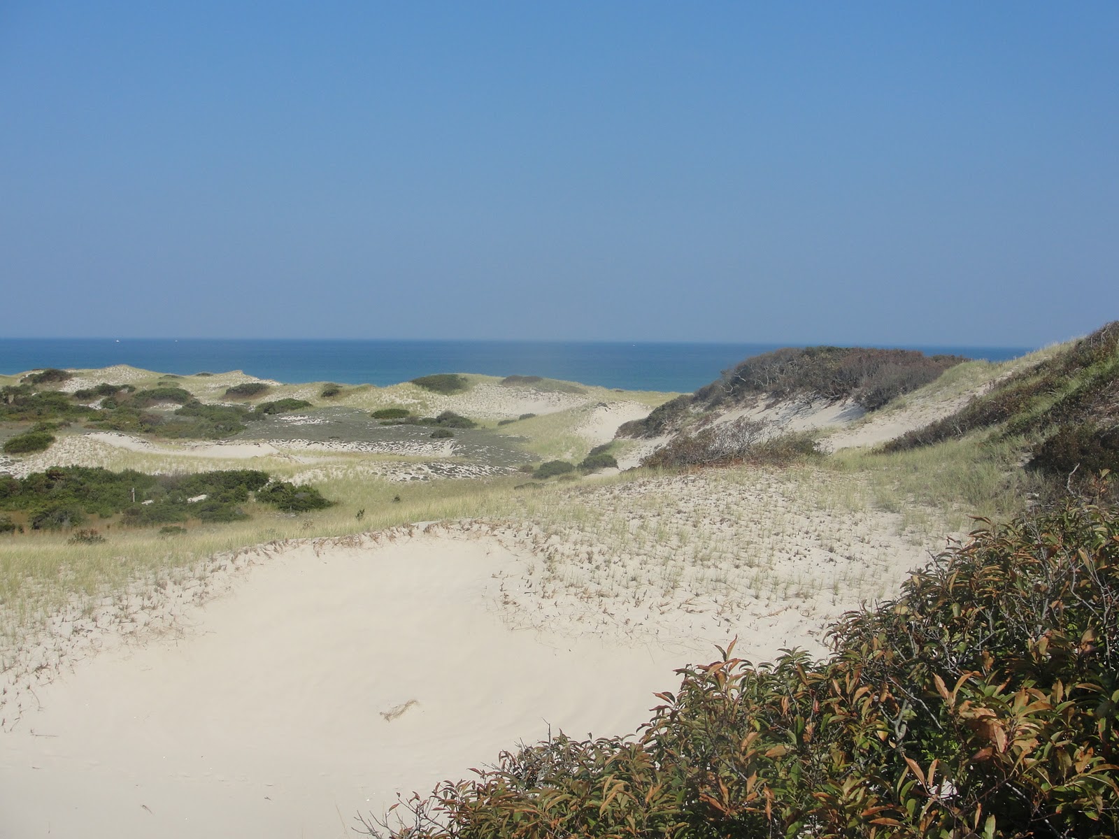sandy neck beach | Mary Richmond's Cape Cod Art and Nature