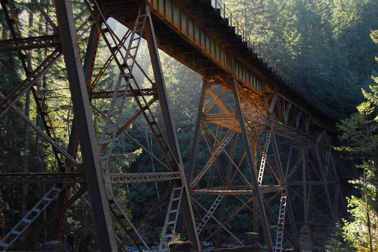 Monkey Puzzle Blog: Foss River Bridge