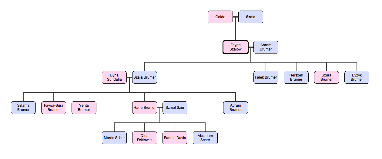 My Scher Family from Poland: Scher, Rayman, and Brumer Family Trees