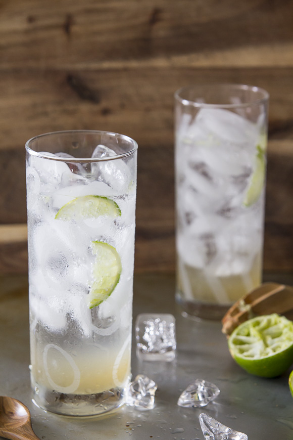 ¿Andas malhumorado? Prepara tu propio Ginger Ale - el gato goloso