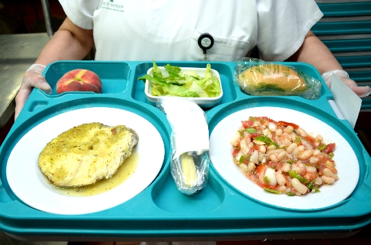 Terapia neural para bajar de peso: Dieta normal hospitalaria