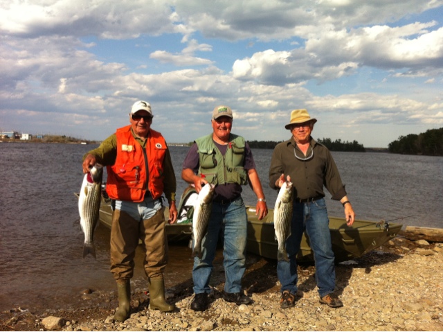 Rod's Miramichi Fishing Reports: Stripe Bass on the Miramichi