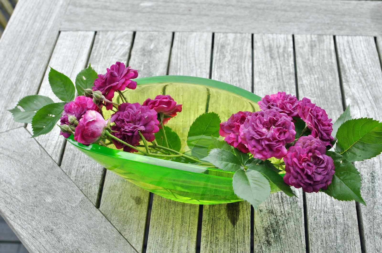 Kreativ Tankeknips: Liggende roser