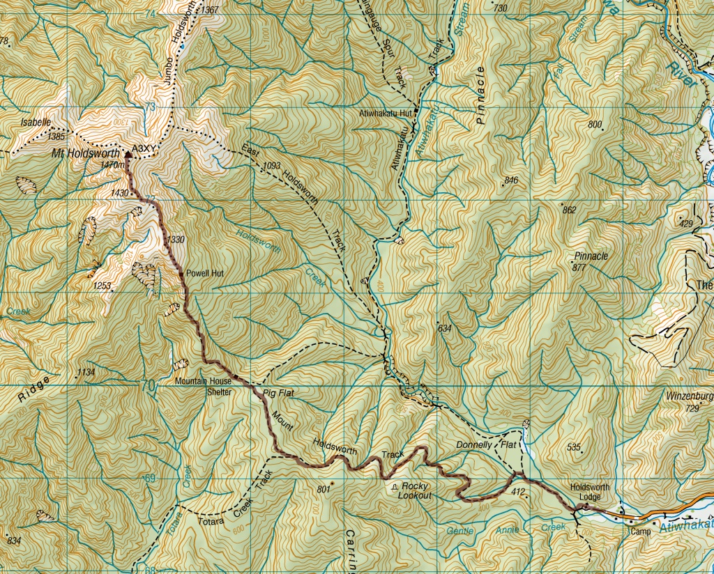 Tramping: Mt Holdsworth Day Walk 21/05/2011