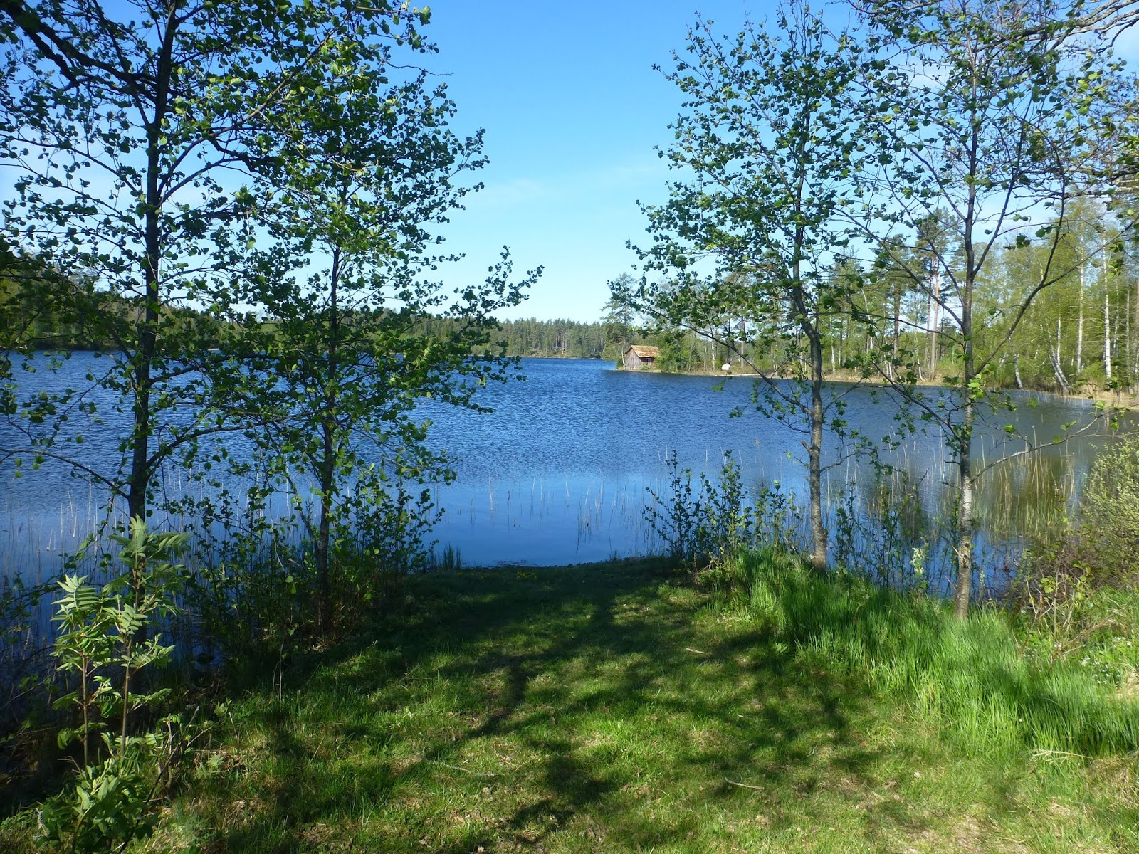 Quiltstickan: LappElisa