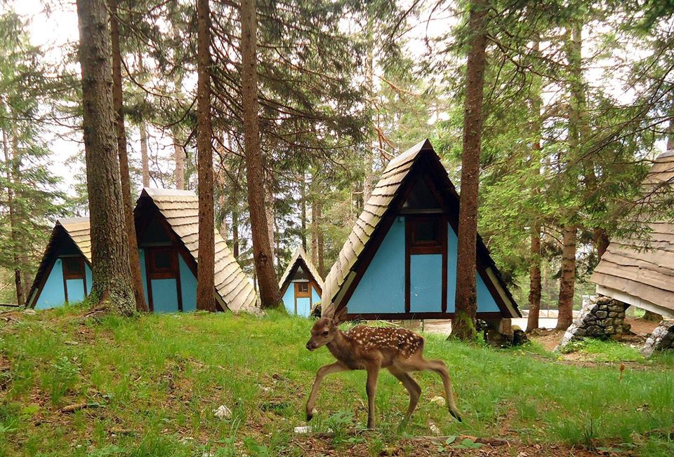 Kit's Cucina Culinaria: Borca di Cadore / Cortina