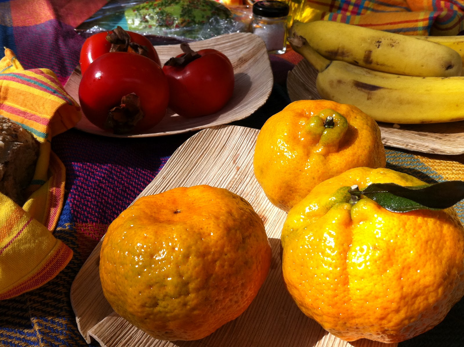 piquenique perto de casa: 01/06/2012 - 01/07/2012