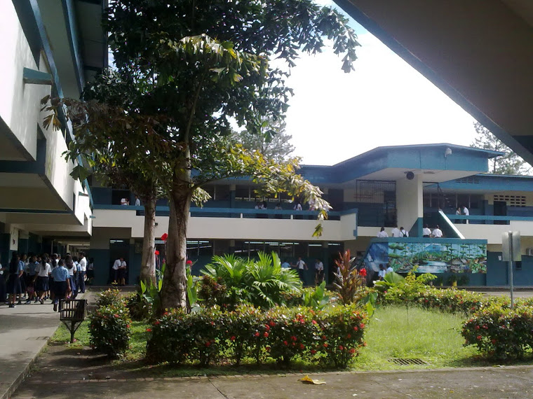 50 aniversario del colegio Instituto David