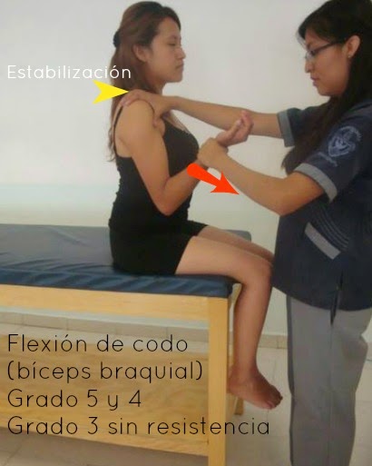 FisioMuscular: Valoraciones de miembro superior (codo, antebrazo y muñeca)