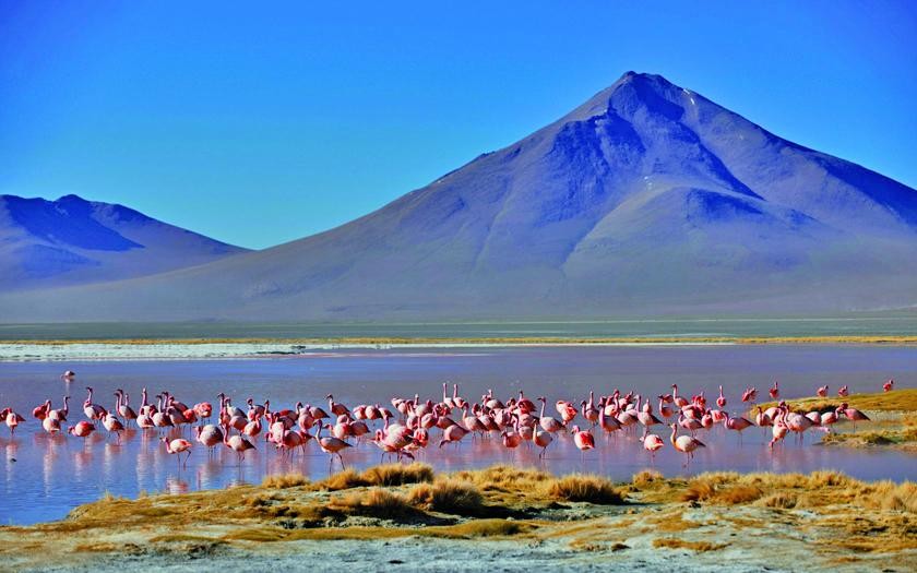 Legislación Ambiental 2018 - Raul Zeballos Camacho: Áreas Protegidas ...