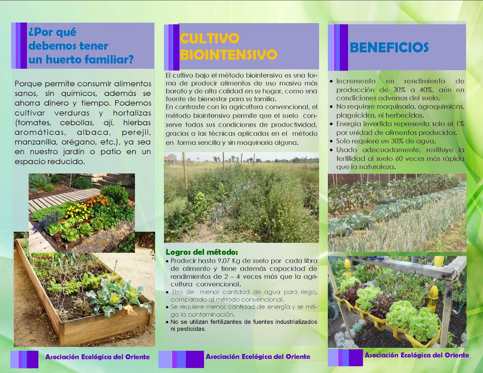 ASOCIACIÓN ECOLÓGICA DEL ORIENTE