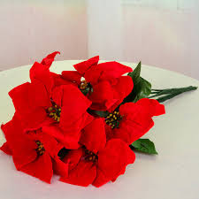 Jenis Bunga Berdasarkan Bulan Lahir dan Maknanya - AGUSTINA FLORIST ...