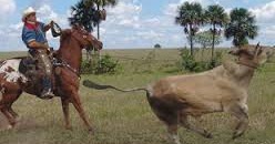 LA CULTURA LLANERA: CARACTERÍSTICAS DEL HOMBRE LLANERO