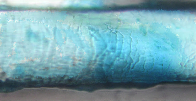 How the "Squish to Condish" Method Completely Transformed My Curls