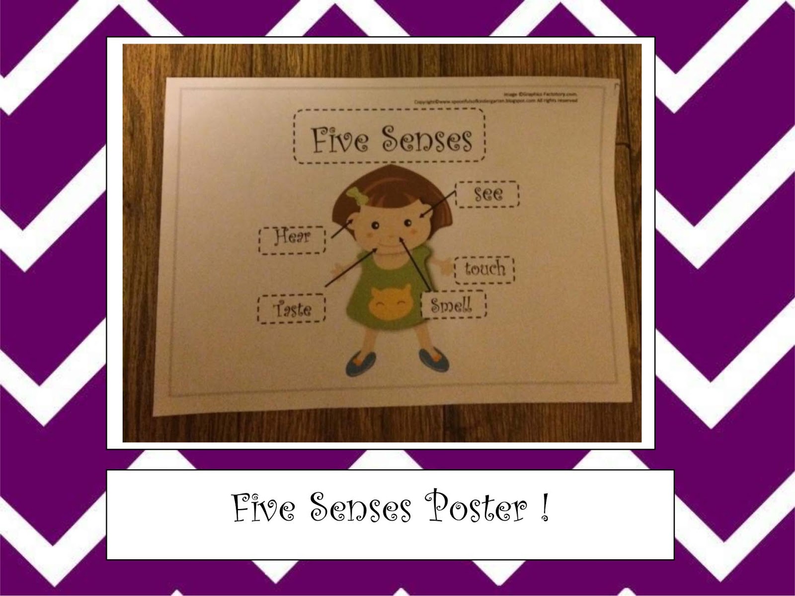 Spoonfuls of Kindergarten: Unit on Five Senses
