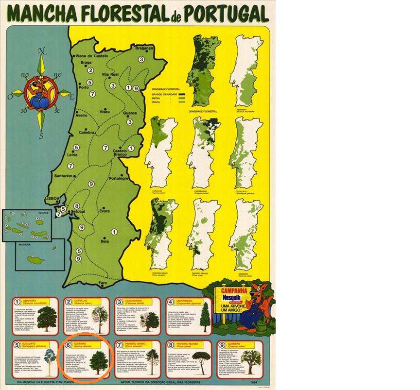 As Florestas de Portugal: Castanheiro