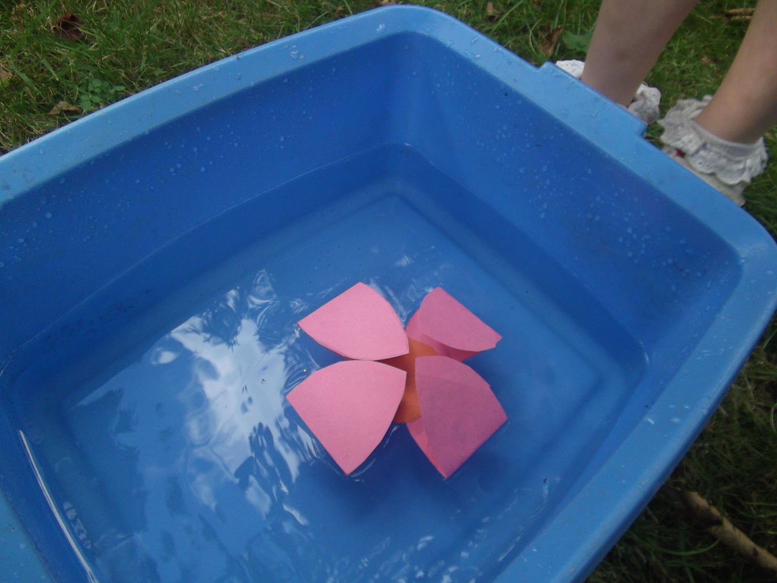 delivering grace: Opening flower experiment