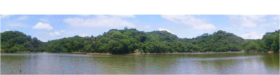 ako c renel: Muicipality Of Gattaran