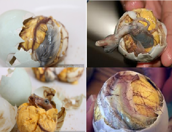 Fertilized Duck Egg "Balut" Global Pinays Niche Global Pinays Niche