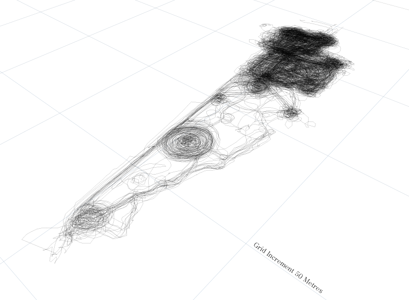 Drawing : Signs of life in flowing line drawings