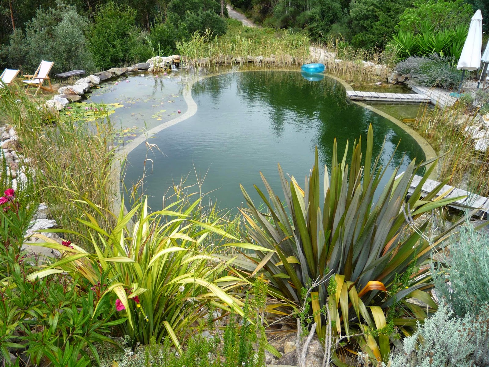 Eco pool design