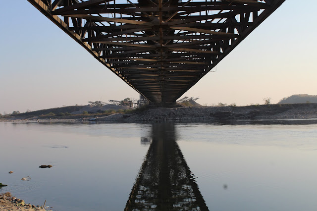 Story Behind Every Picture - Evolution and Extinction