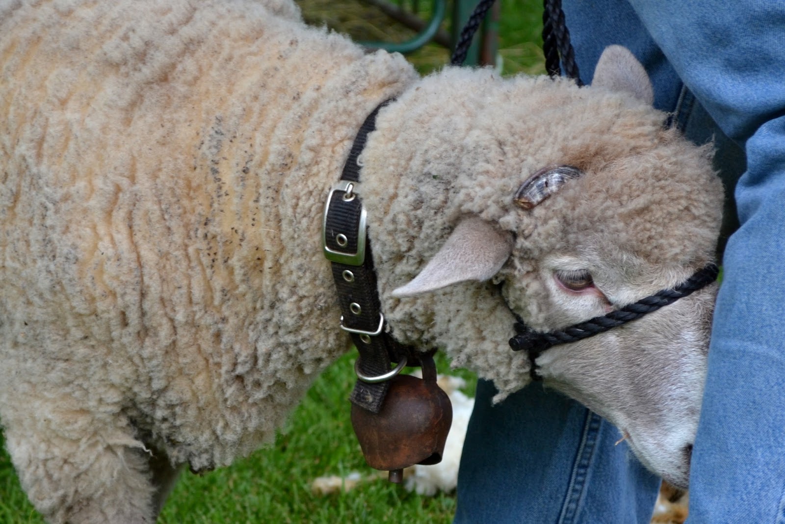 Drippings of Grace: Vermont Day 1: Buffalo Brook and Plymouth Notch