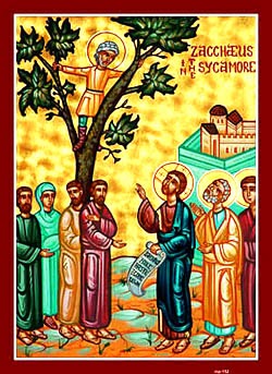 UN UOMO DI NOME ZACCHEO, la gioia di incontrare Cristo e di cambiare ...