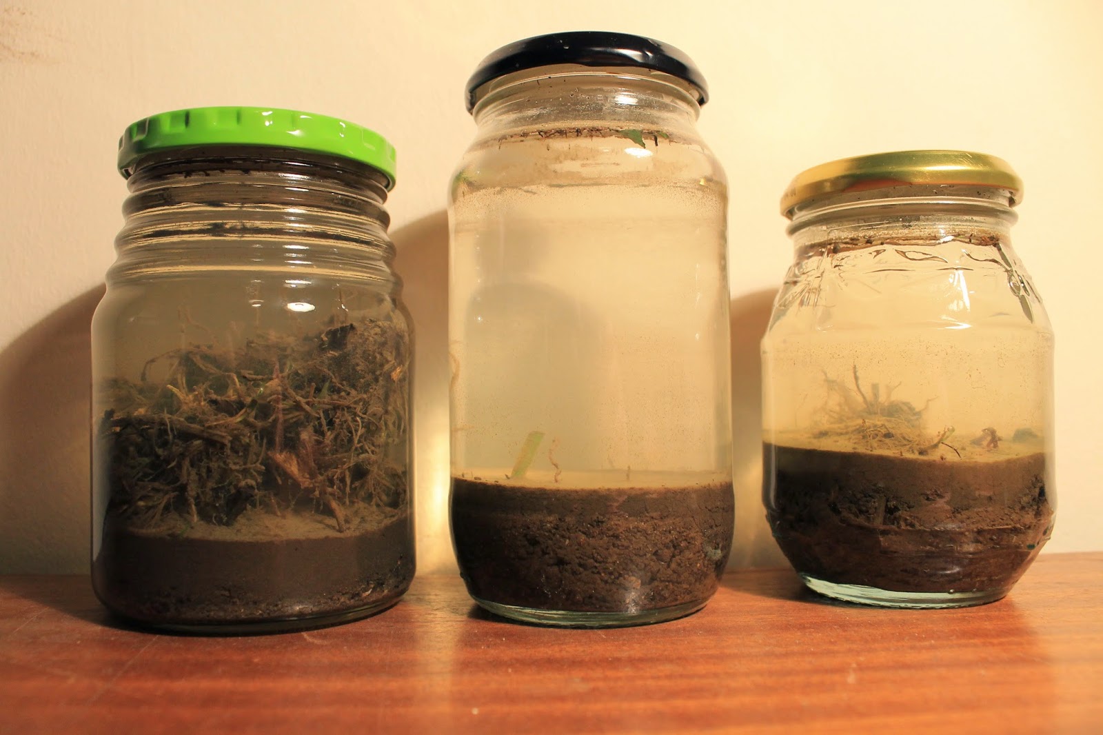 Andy Patterson Permaculture: Geology & Soil Analysis