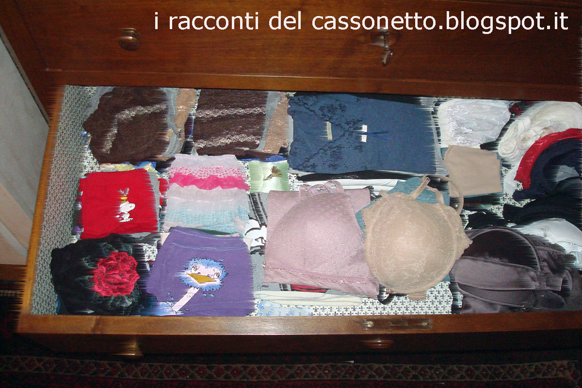I racconti del cassonetto: «PRONTO, ACI?»