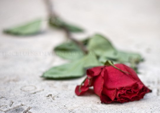 Tara Tyler Talks: Hold onto your SOCKS, I'm about to knock them OFF! # ...