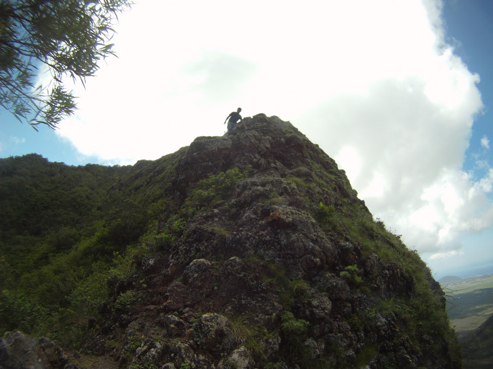 The Hobbit and the Shire: Hapapa Direct