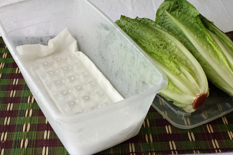 Learn-Something-New: Kitchen Tip: Store Salad Greens For Weeks
