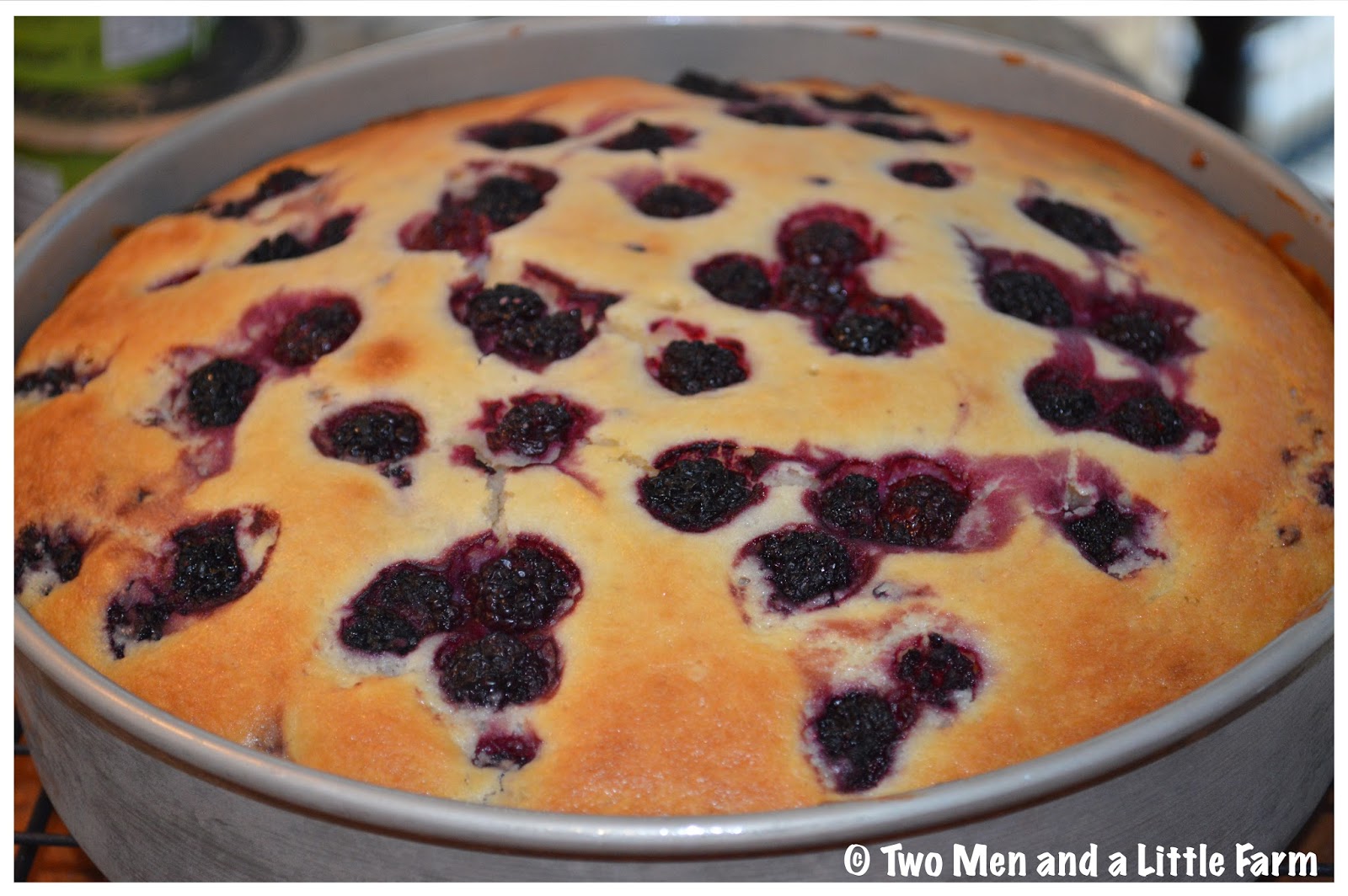Two Men and a Little Farm: DEWBERRY CAKE RECIPE
