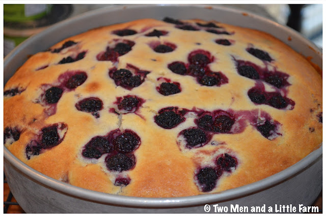 Two Men and a Little Farm: DEWBERRY CAKE RECIPE