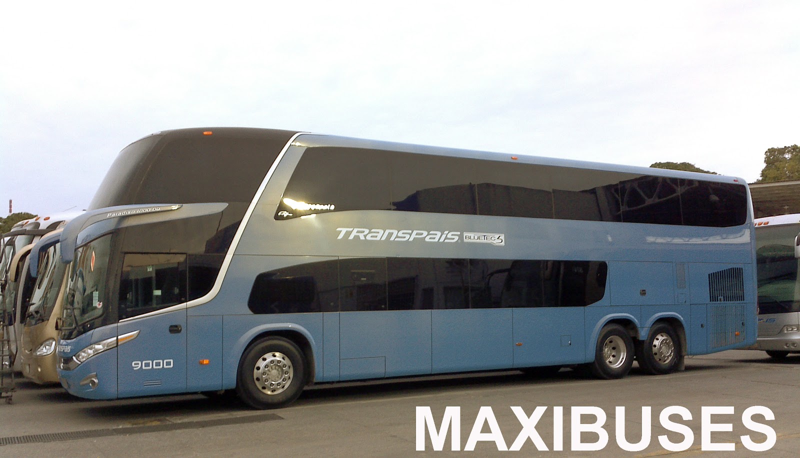 MAXIBUSES: TRANSPAÍS - UNIDAD A PRUEBA
