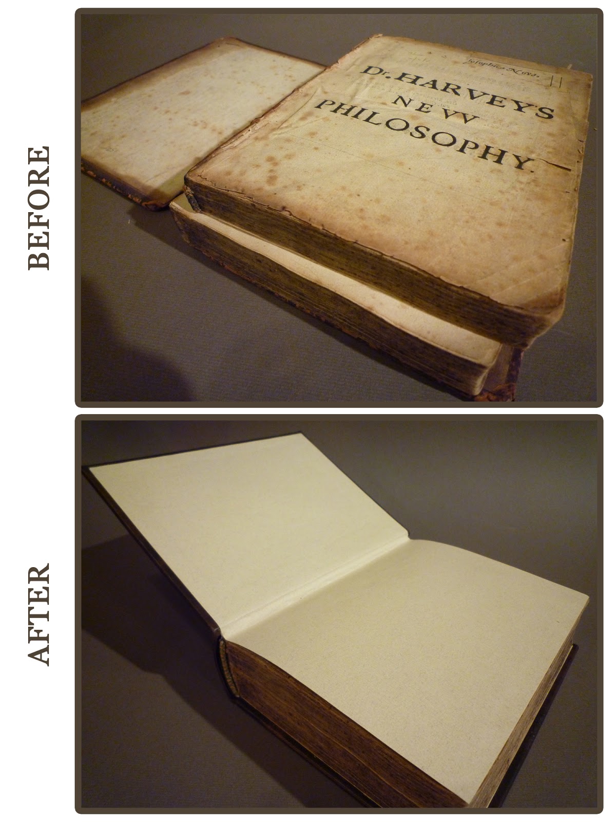 Bookbinder's Chronicle: November 2012