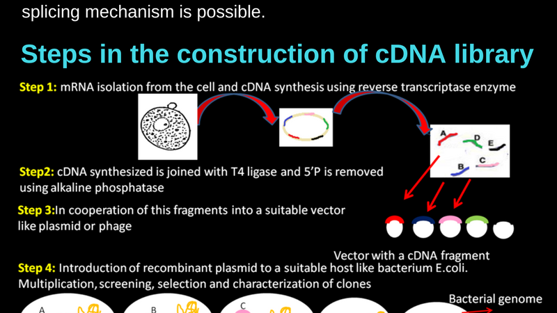 Genomic Library Construction