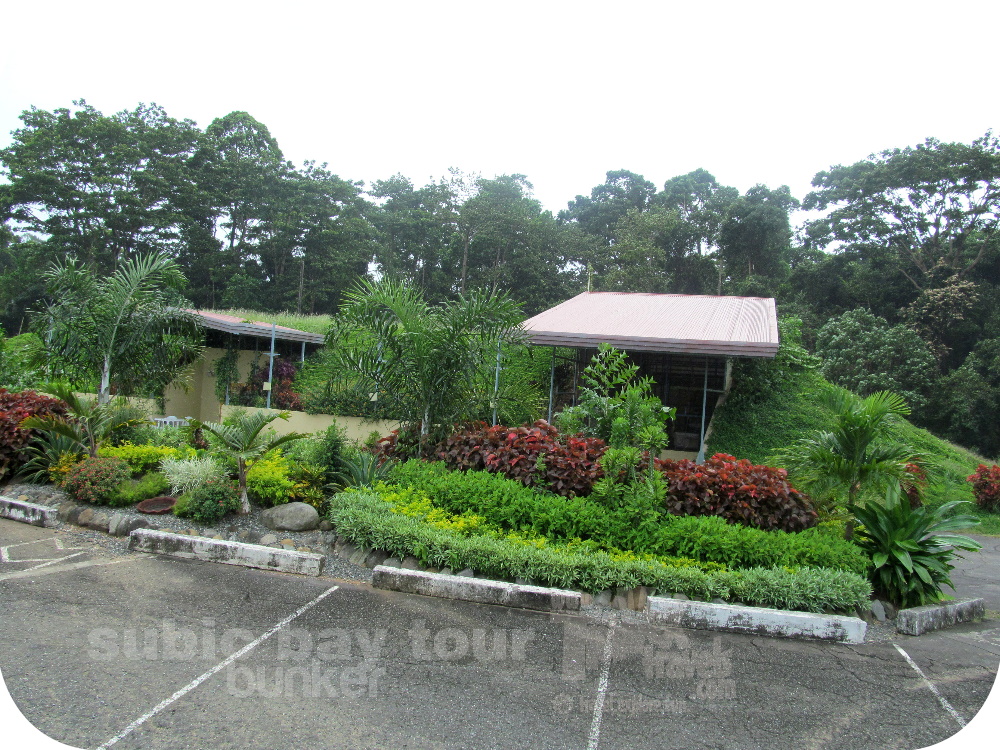 Bunkers, Monkeys, Fruit Bats and that Orb in Subic - Travex Travels ...