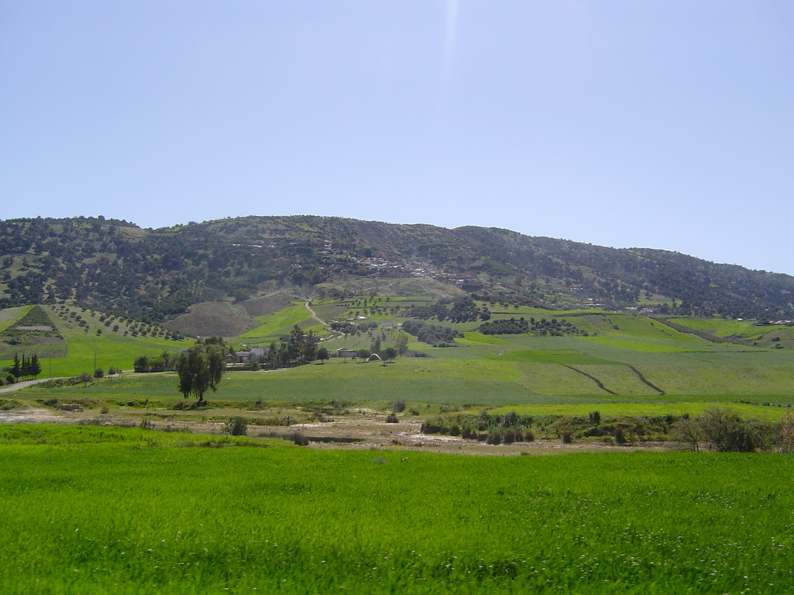 Maumag au Maroc: OUAZZANE
