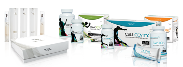 Max International LLC: MAX INTERNATIONAL COMP PLAN