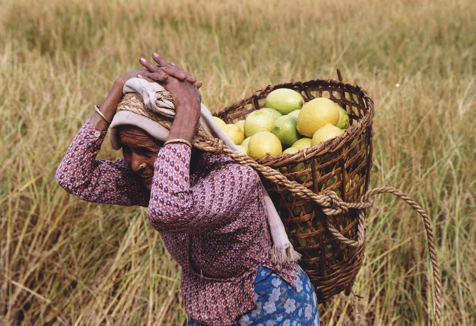 SHARE TWEET TELEGRAM WHATSAPP PIN IT SHARE