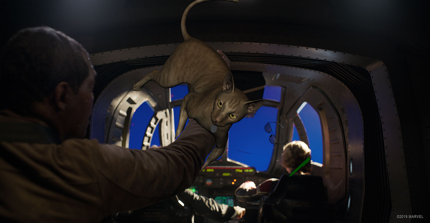 Treinadora de Gatos Ursula Brauner explica como foi trabalhar nos sets ...