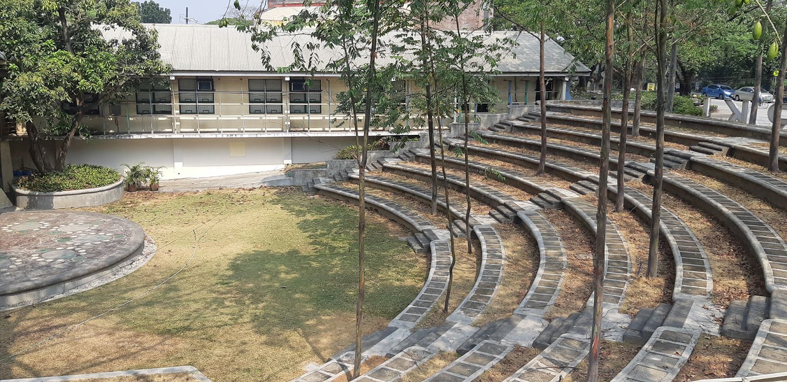 OUR PHILIPPINE TREES