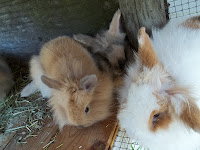 Hope when there was none: Moving on... Sorta