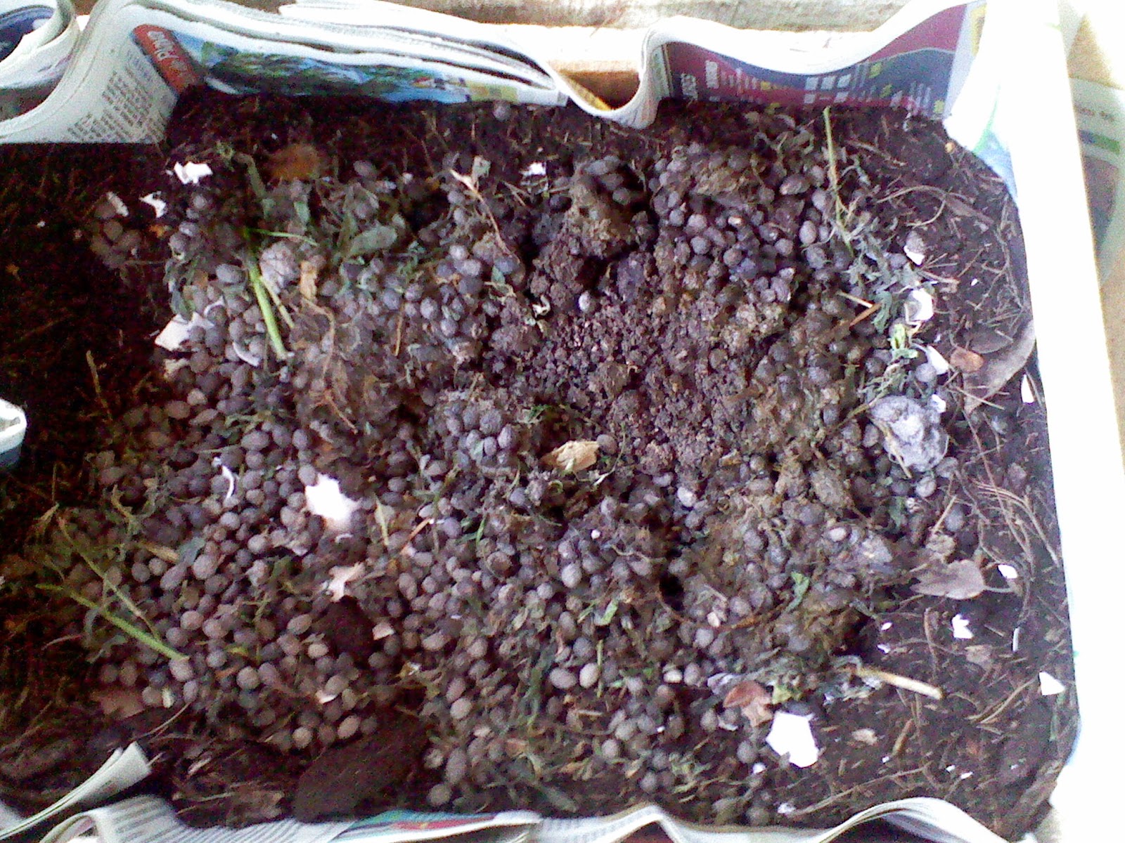 Composta los beneficios de tenerla y como hacer la composta