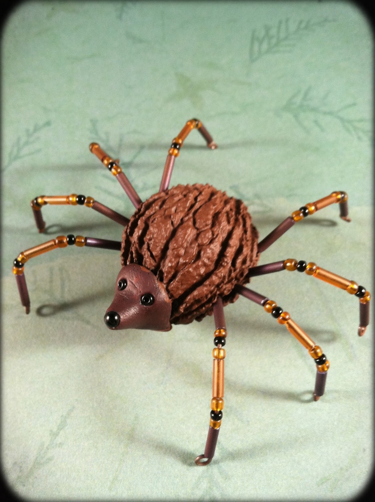 #242: Hedgehog Spidercronicassico tropicas